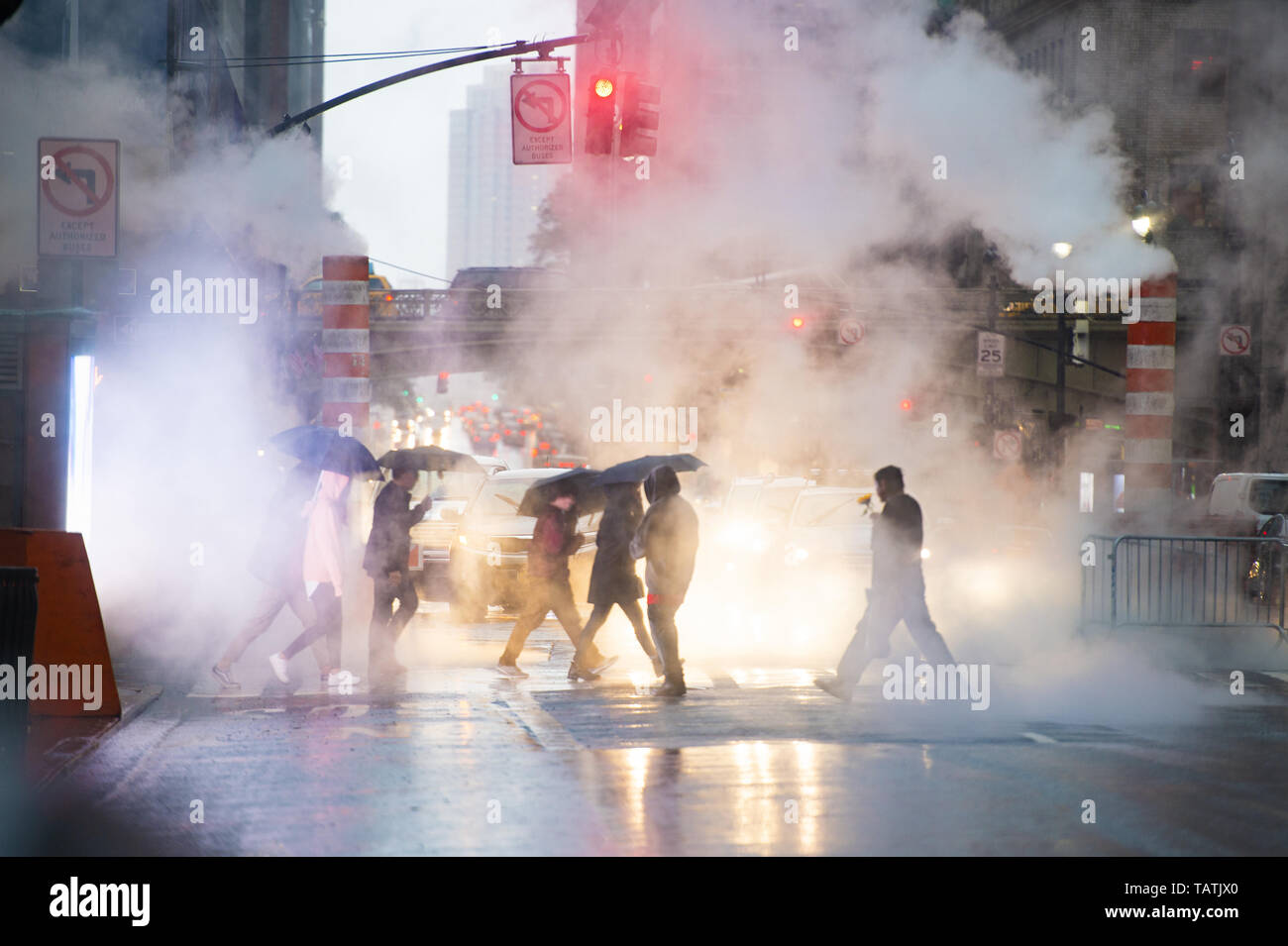 Undefined people with umbrellas are crossing the 42nd street in ...