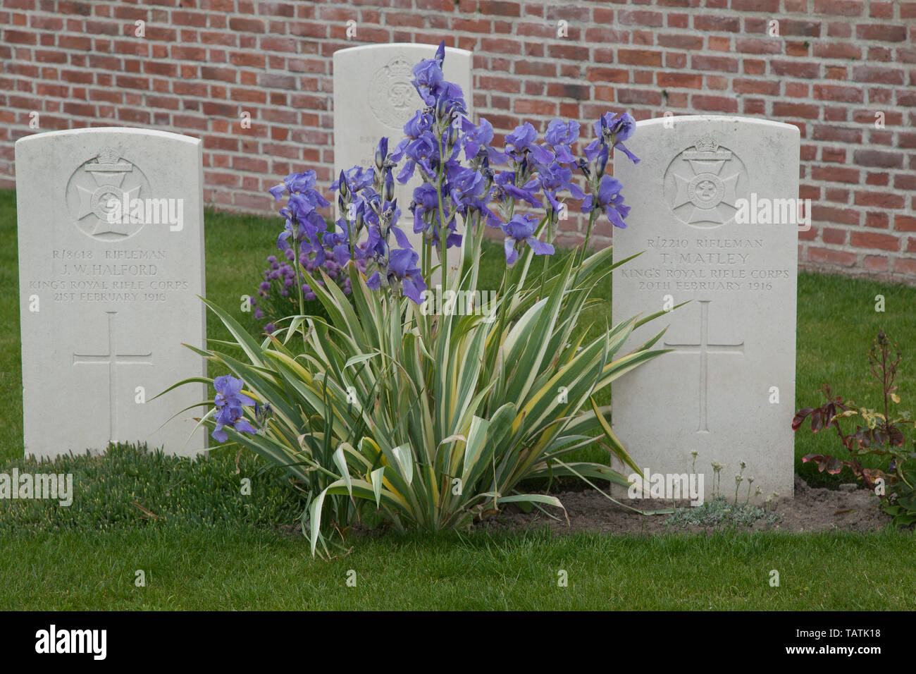 cemetery graveyard Ypres Ieper Belgium Stock Photo - Alamy