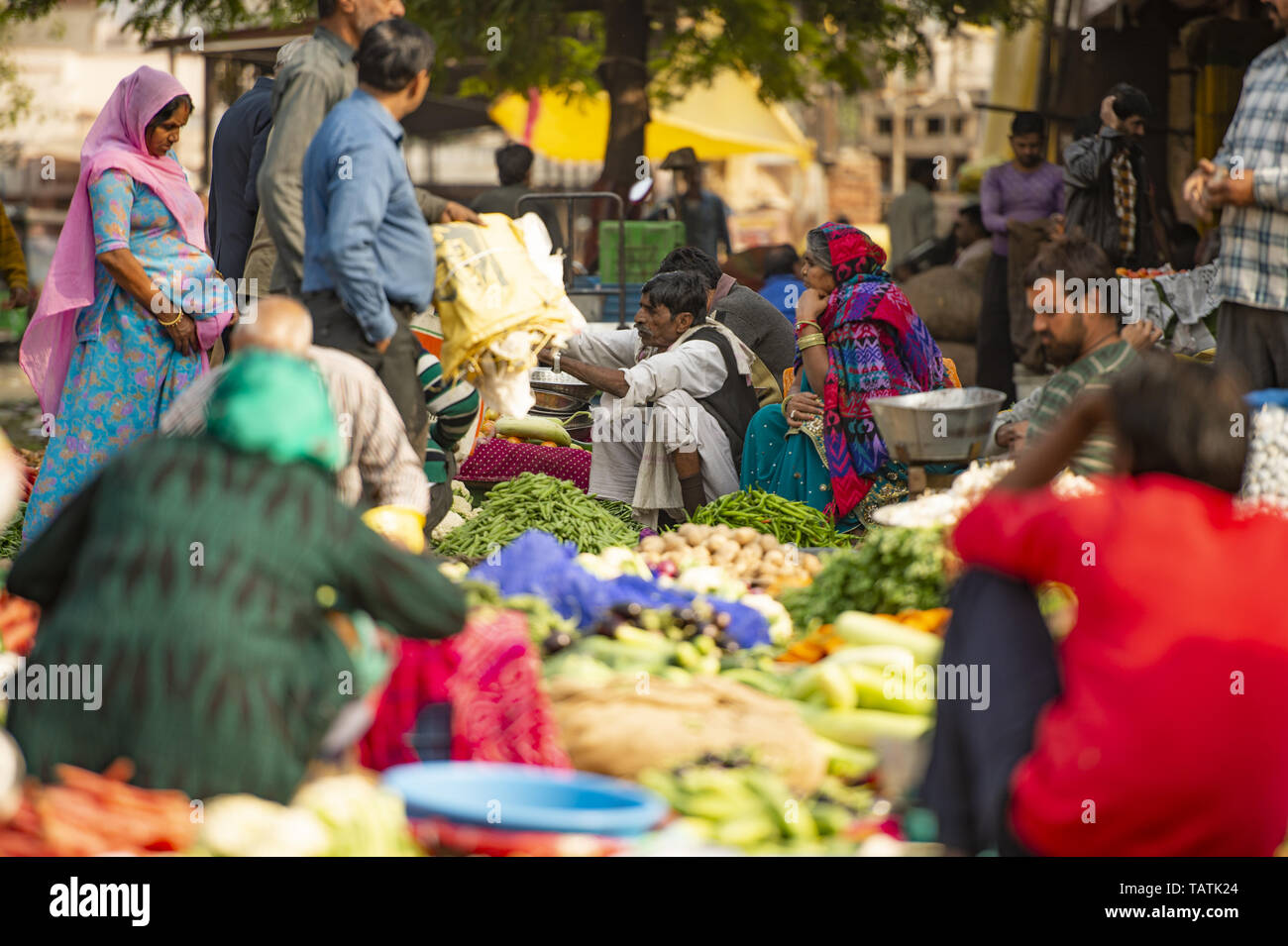 India rajasthan jaipur street vendor hi-res stock photography and ...