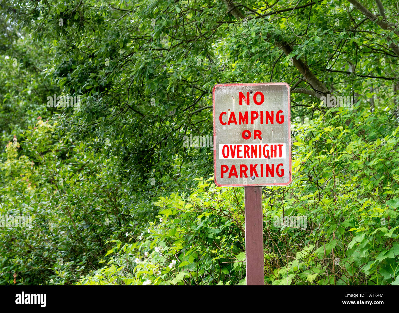 No camping or overnight parking warning sign on post with red lettering ...