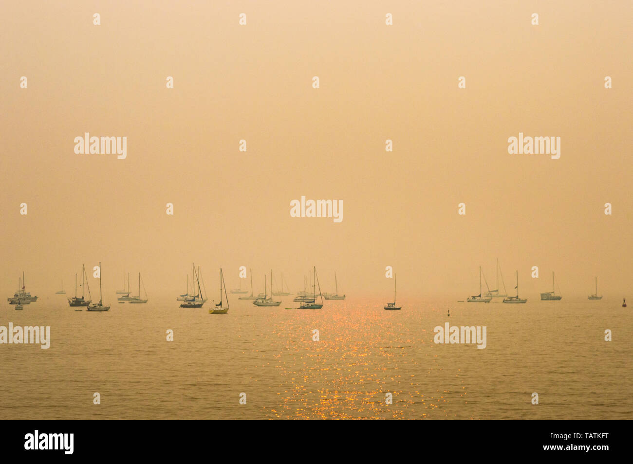 Bc forest fires hi-res stock photography and images - Alamy