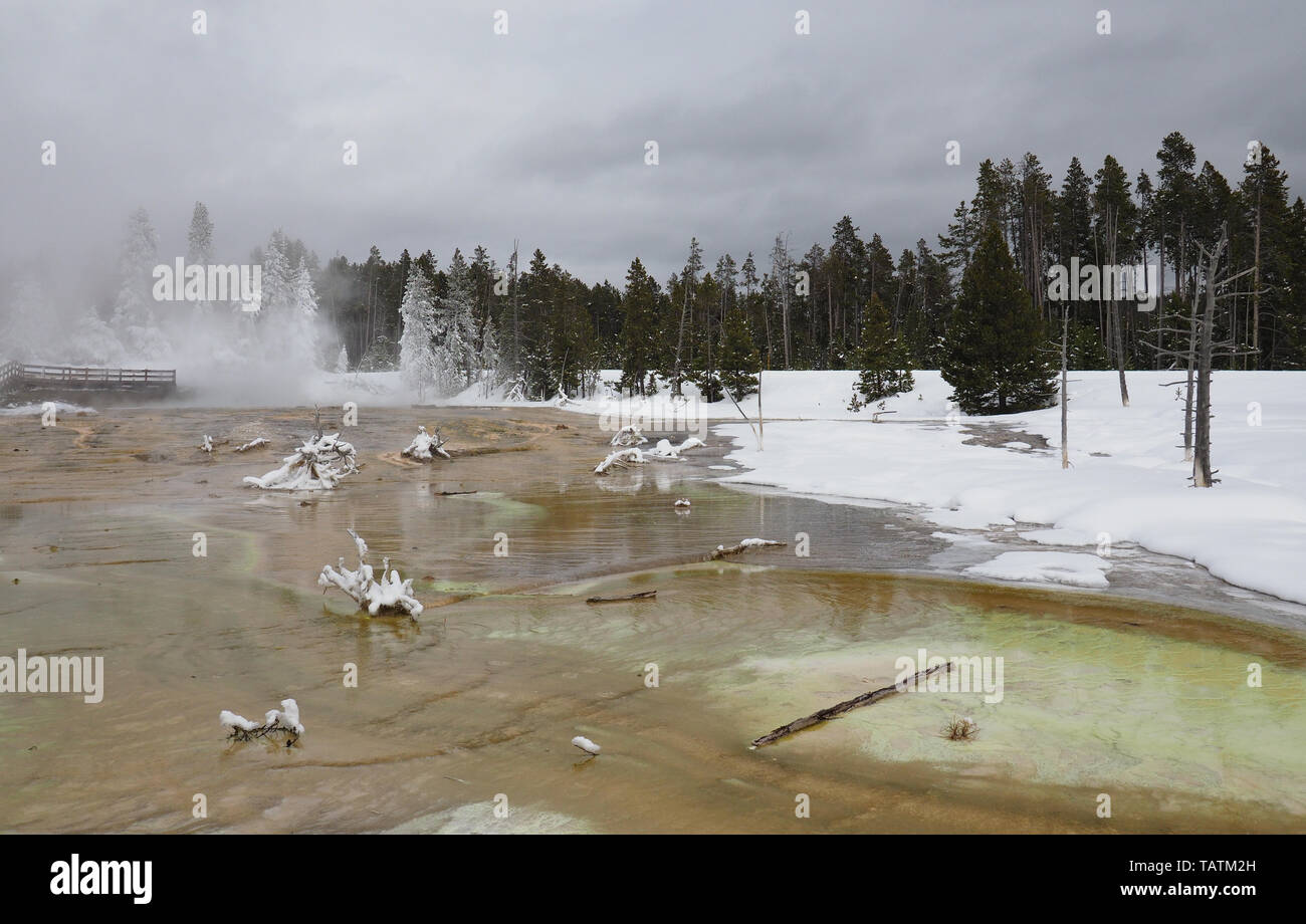 Colorful algae in the run off of Silex Spring in the Lower Geyser Basin ...