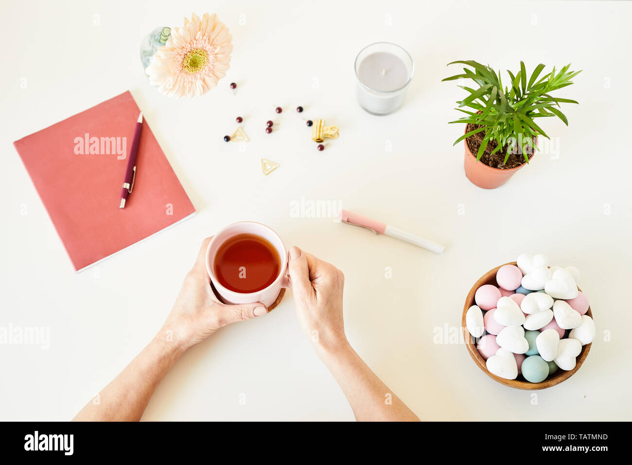 Overview of human hands with cup of herbal tea, copybook with pen ...