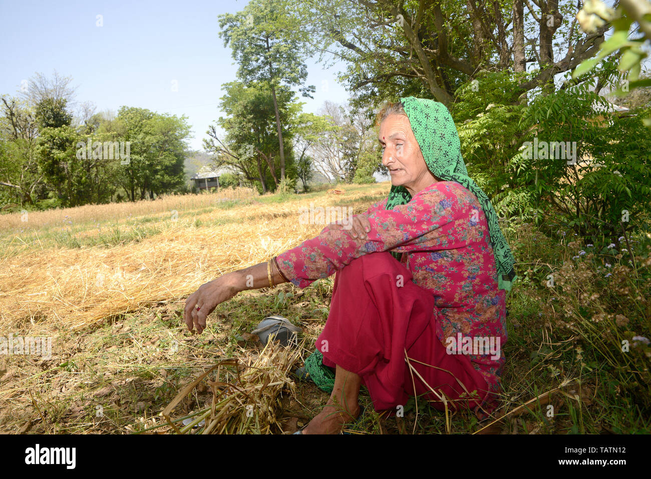 Elderly Woman farmer resting on farm Stock Photo - Alamy