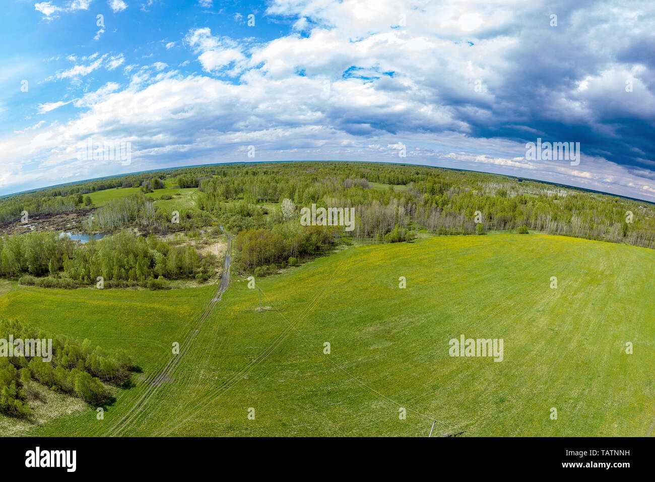 Panorama aerial view of green meadow and field near the path in the ...
