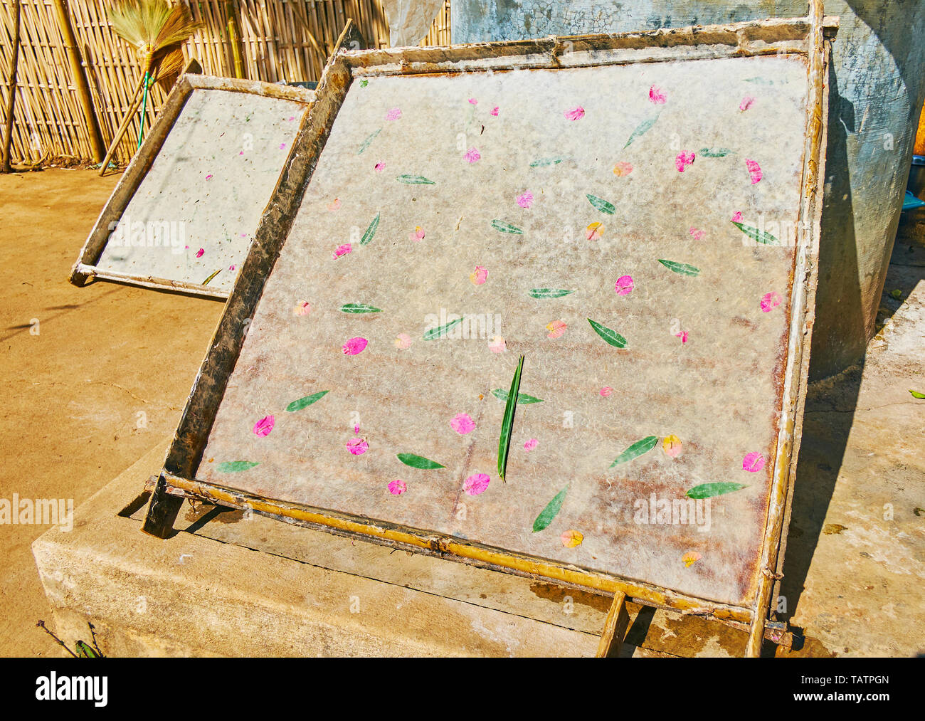 Mulberry tree china hi-res stock photography and images - Alamy