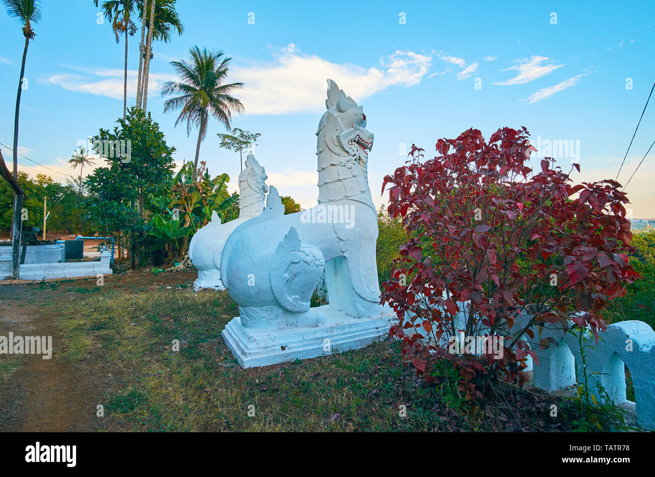 The carved statues of leogryph (lion, chinthe) decorate the garden of ...