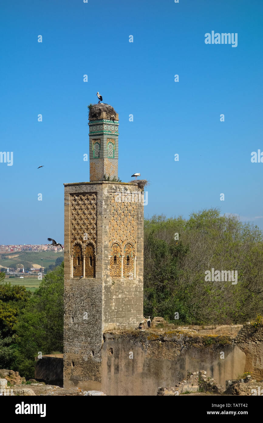 Medieval landscape with flying stork hi-res stock photography and ...