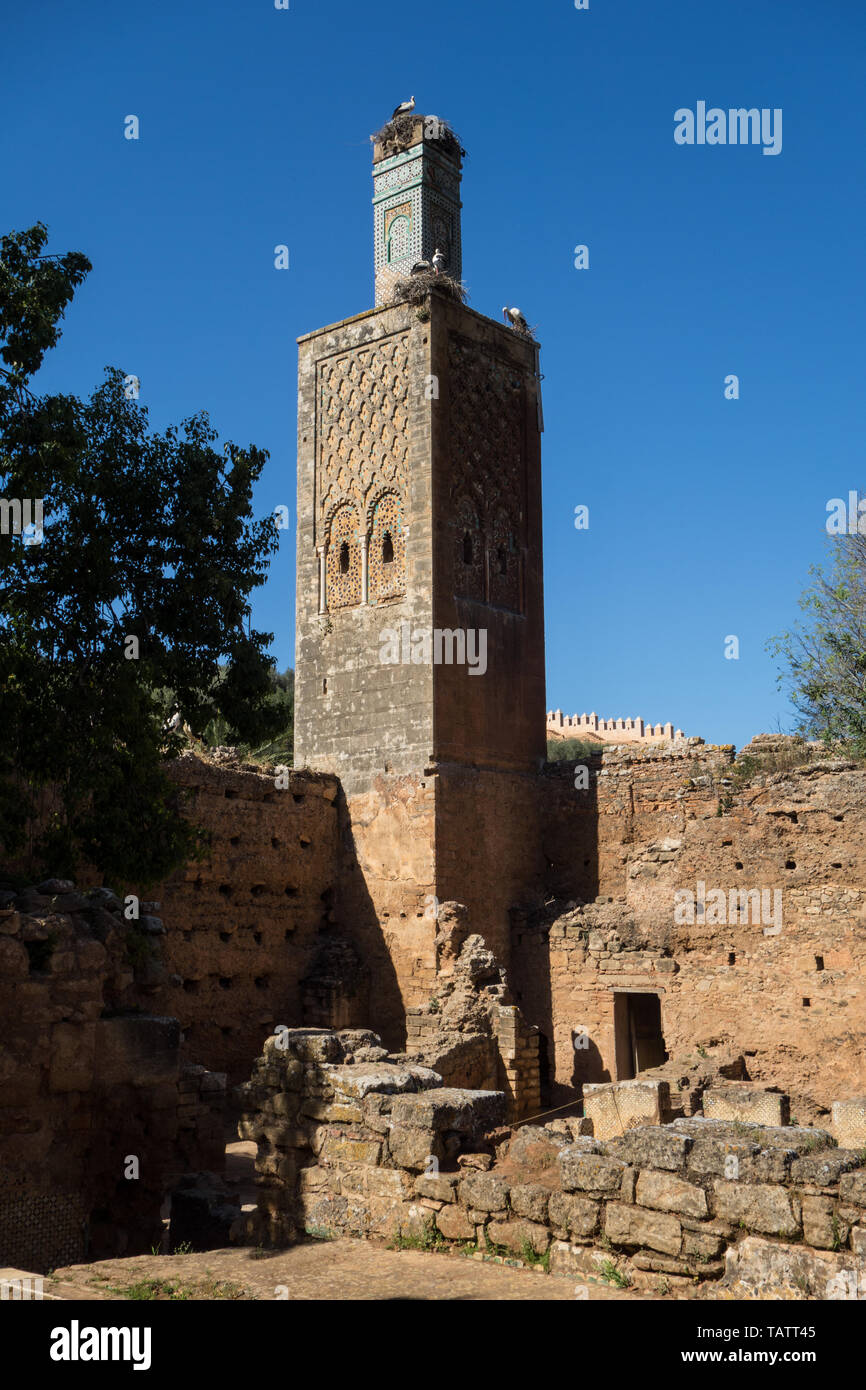 View on the storks in the ruins of the Chellah or Shalla, a medieval ...
