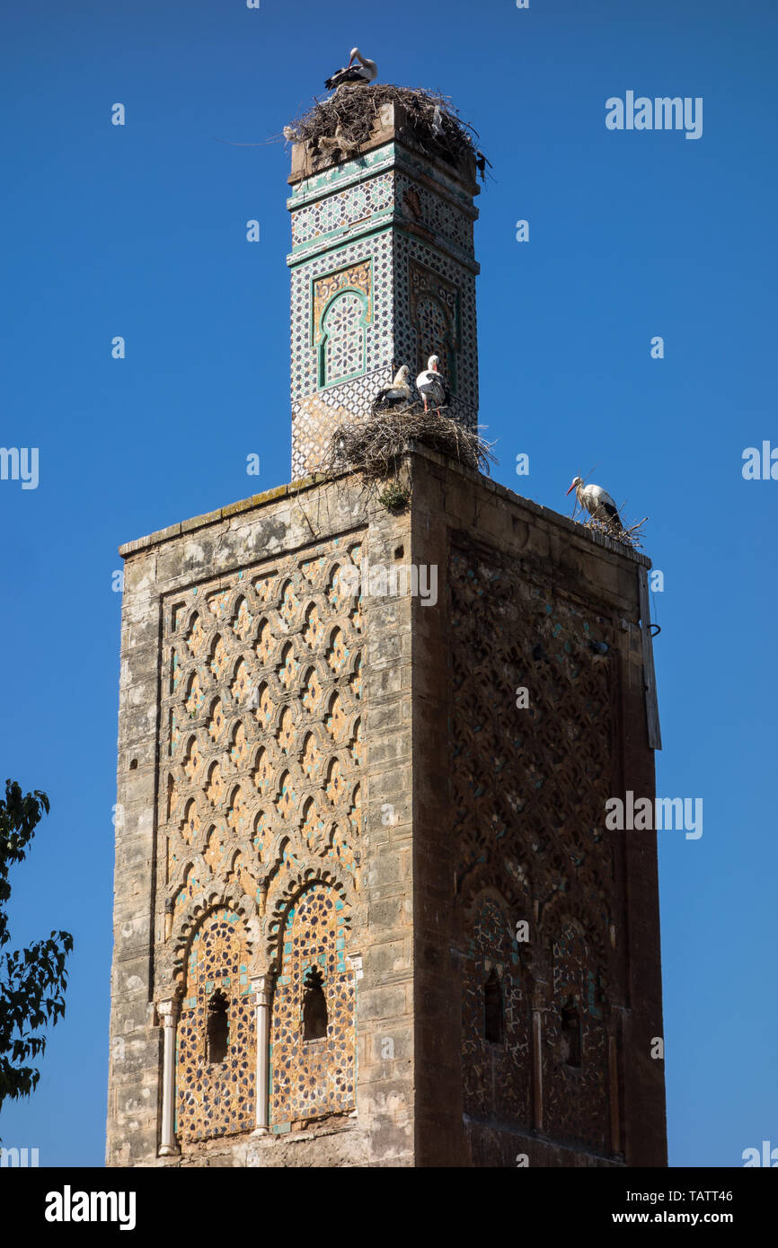 Antique view of rabat morocco hi-res stock photography and images - Alamy