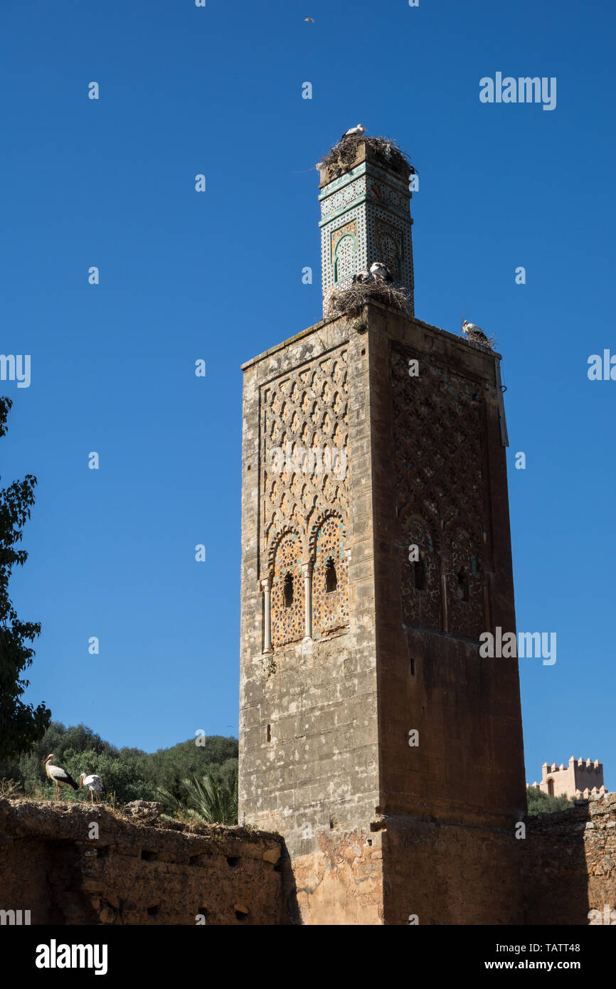 Medieval landscape with flying stork hi-res stock photography and ...