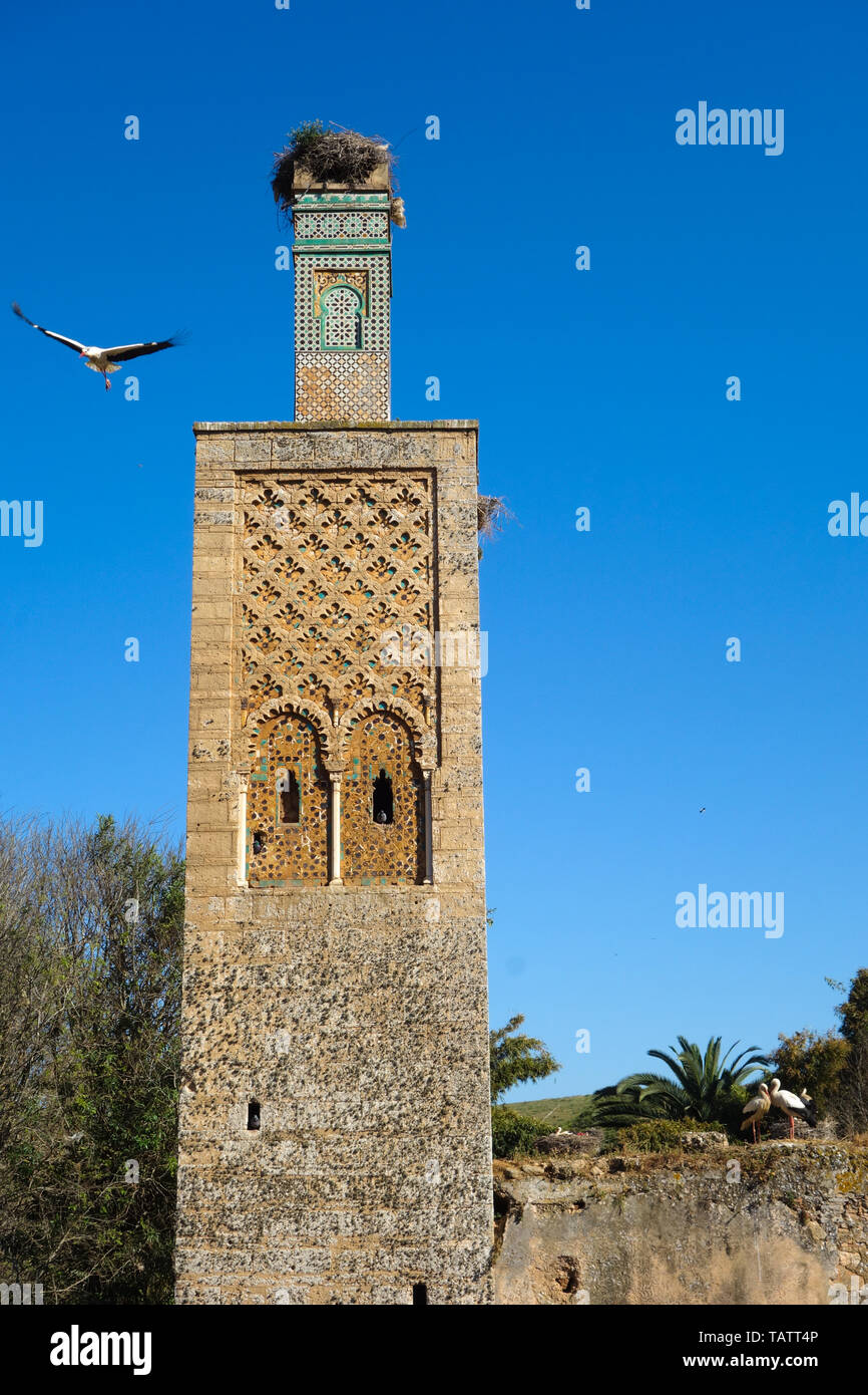 Medieval landscape with flying stork hi-res stock photography and ...