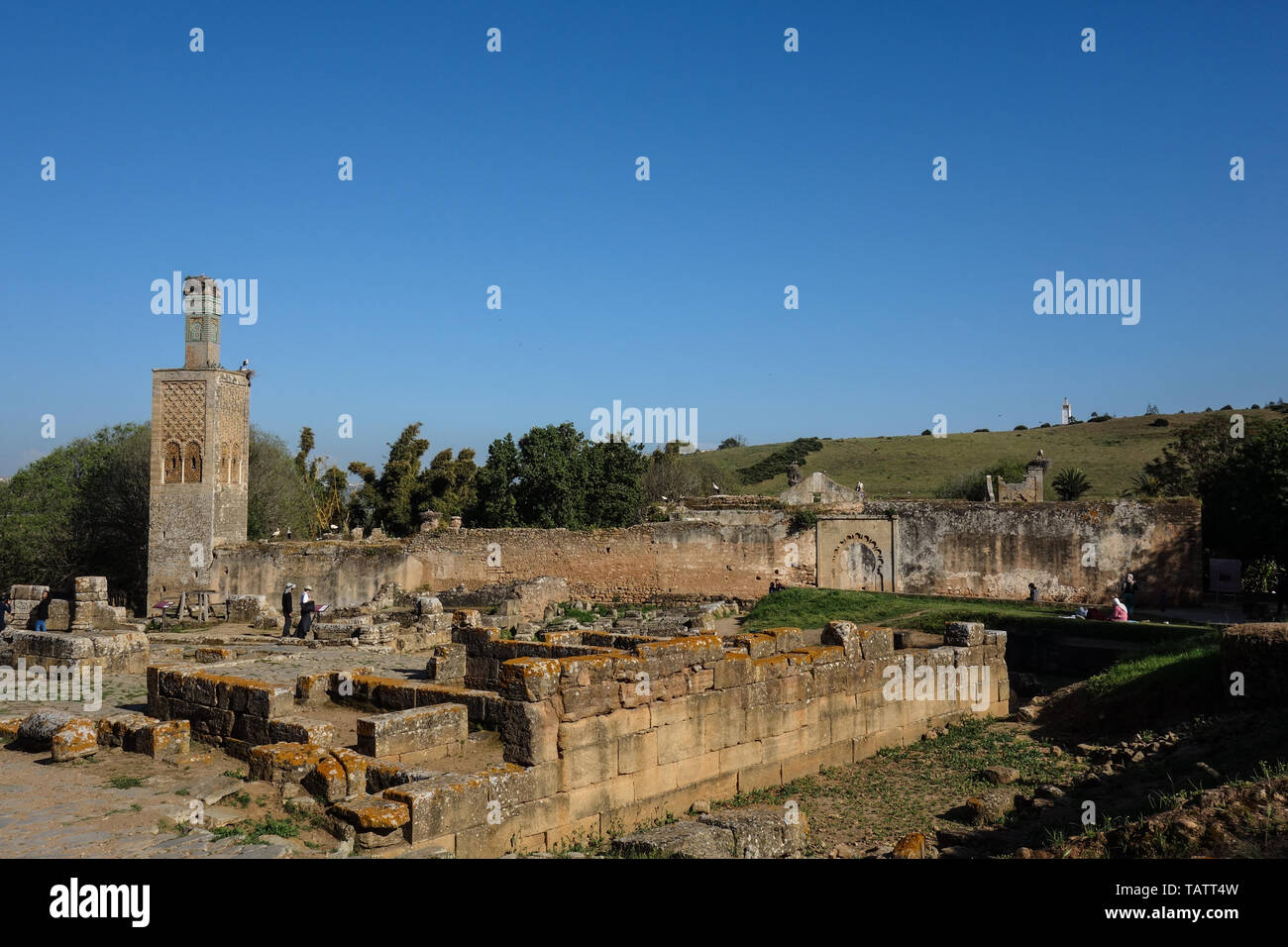 Storks on wall hi-res stock photography and images - Alamy