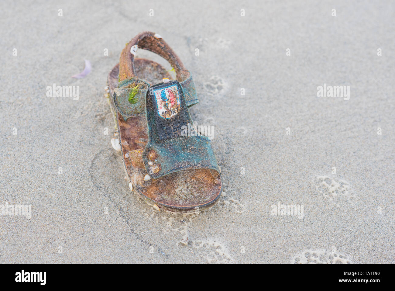 Litter rubbish shoe waste hi-res stock photography and images - Alamy