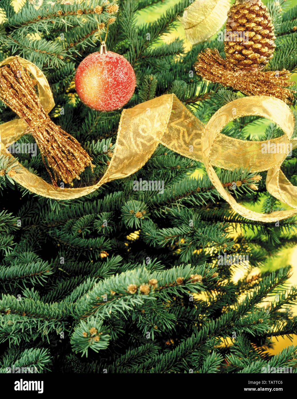 pictures of Christmas celebrations for background design and the ...