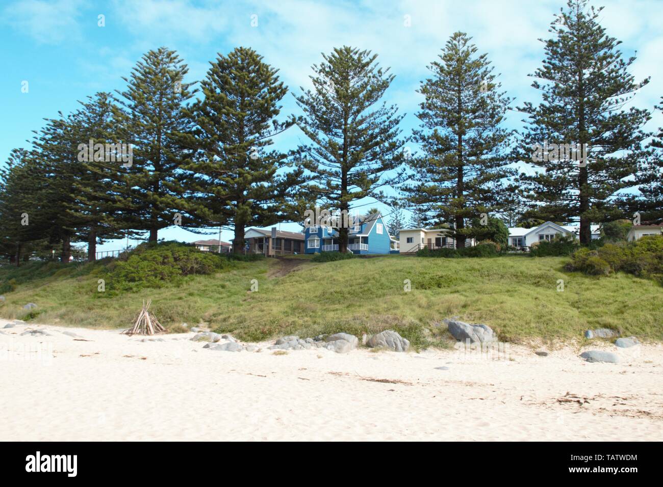 Australian white sandy beach with a nice forest in the background Stock ...