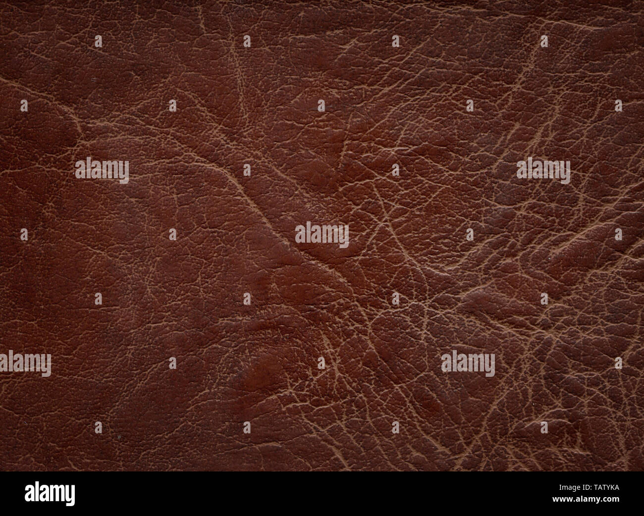 Cowhide hi-res stock photography and images - Alamy