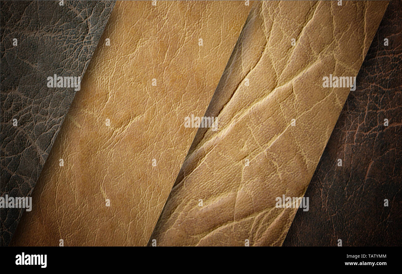 Cowhide hi-res stock photography and images - Alamy