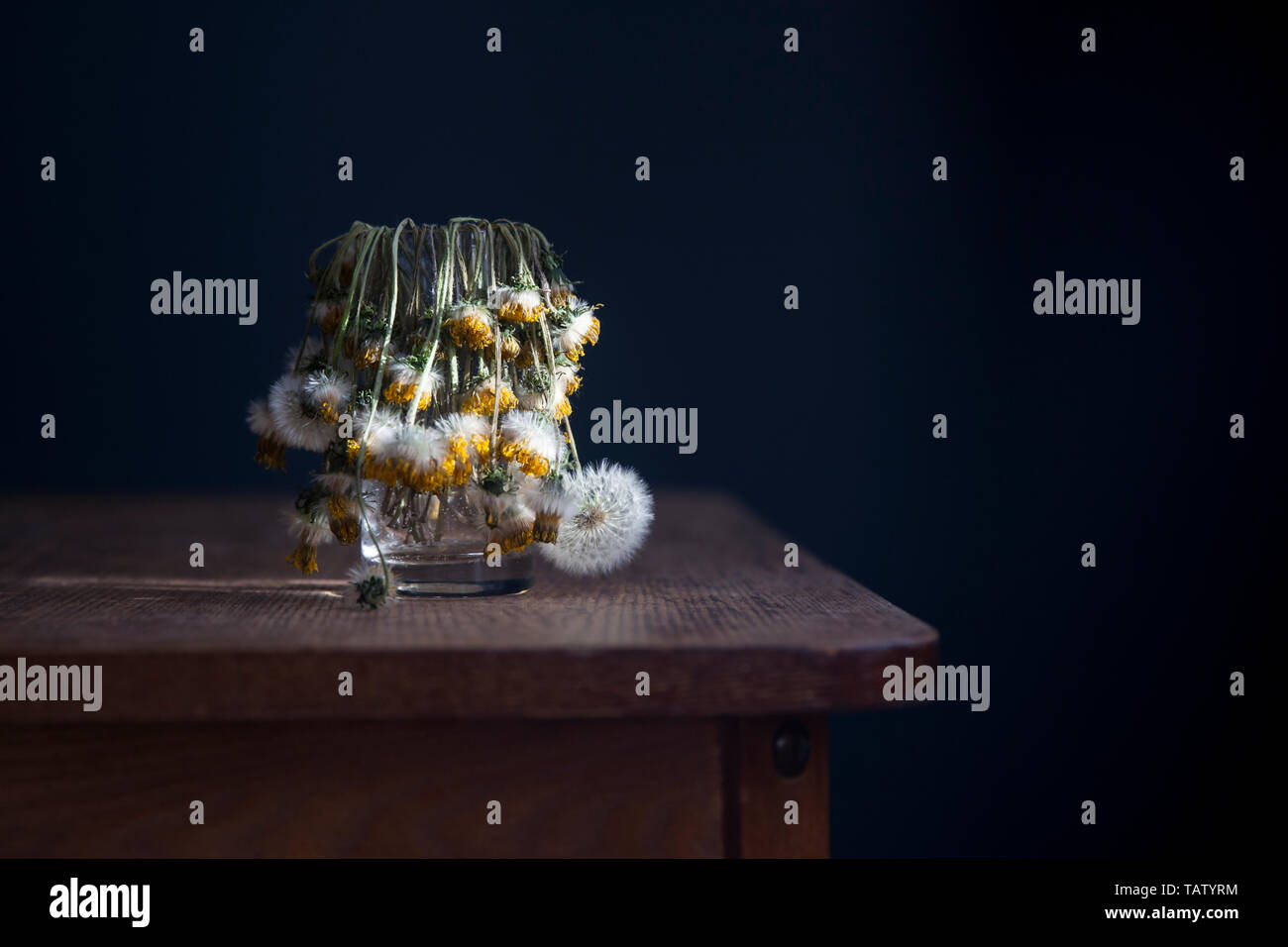 Drooping dandelions in a pharmacy glass jar on a wooden table on a ...