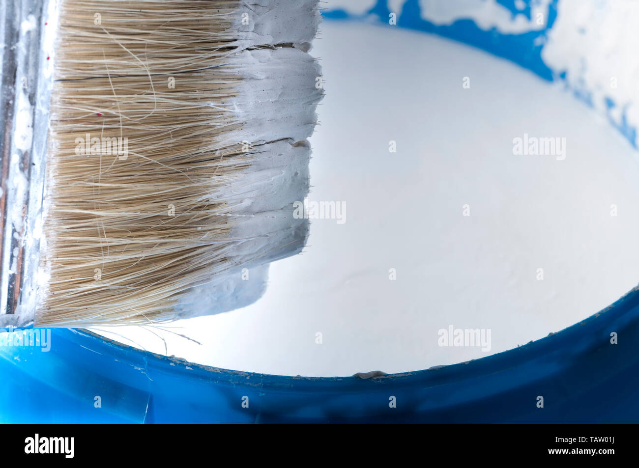 Bristle hair hi-res stock photography and images - Alamy