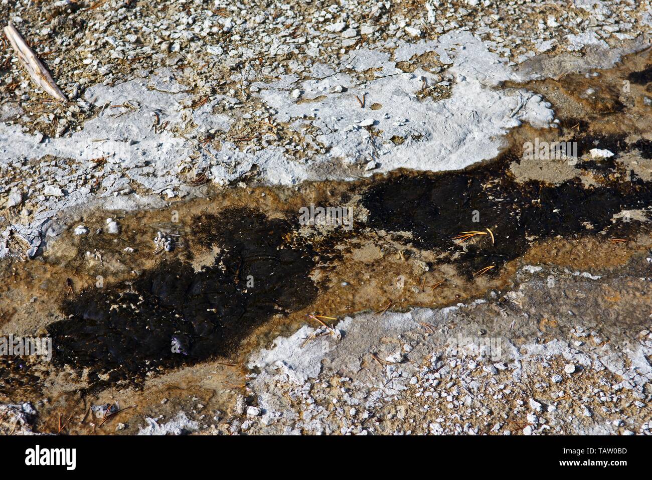 Volcanic stream bottom Stock Photo - Alamy
