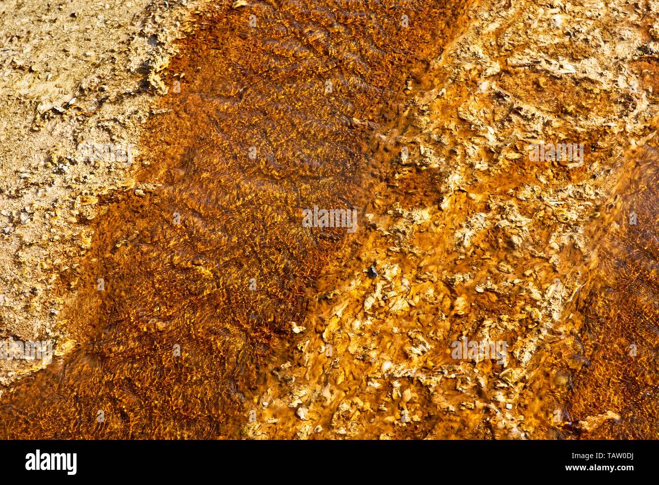 A golden, rusty stream bottom Stock Photo - Alamy