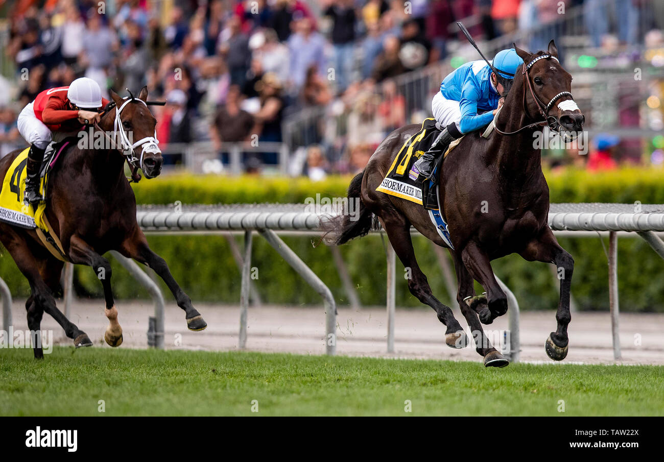 Upset horse hi-res stock photography and images - Alamy