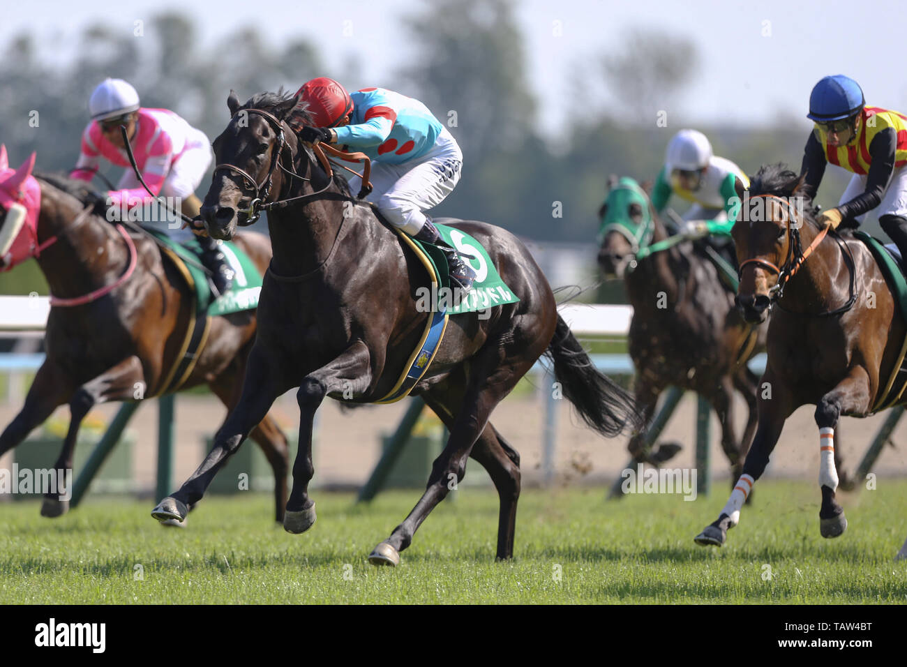 Kyoto racecourse sign hi-res stock photography and images - Alamy