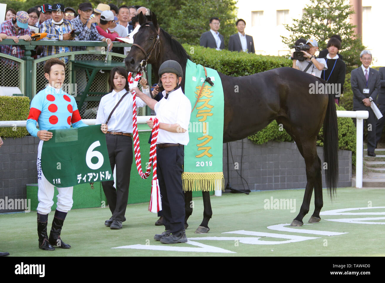 Kyoto, Japan. 25th May, 2019. Dirndl (Yusuke Fujioka) Horse Racing ...