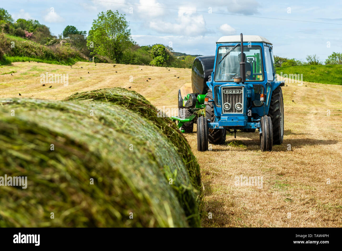 Alan gibson hi-res stock photography and images - Alamy