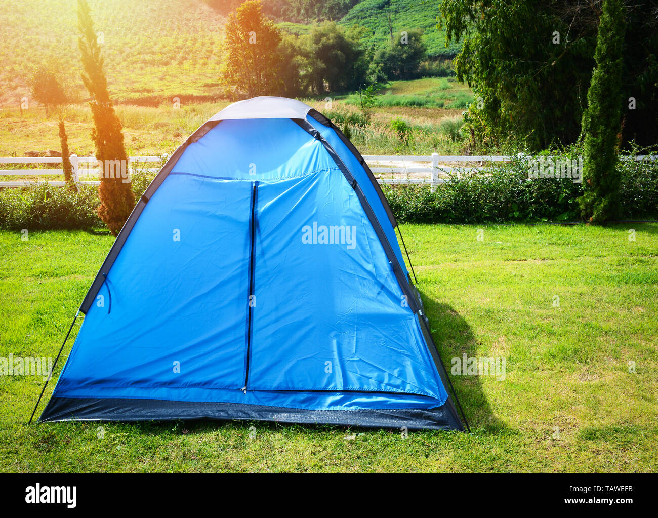 Colorful blue tent camping in row beautiful on green grass meadow for ...