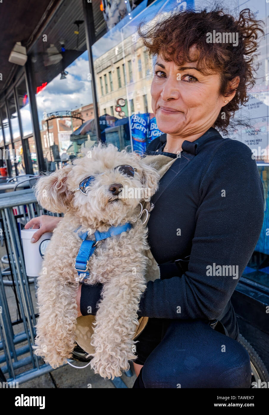 Woman holding poodle hi-res stock photography and images - Alamy