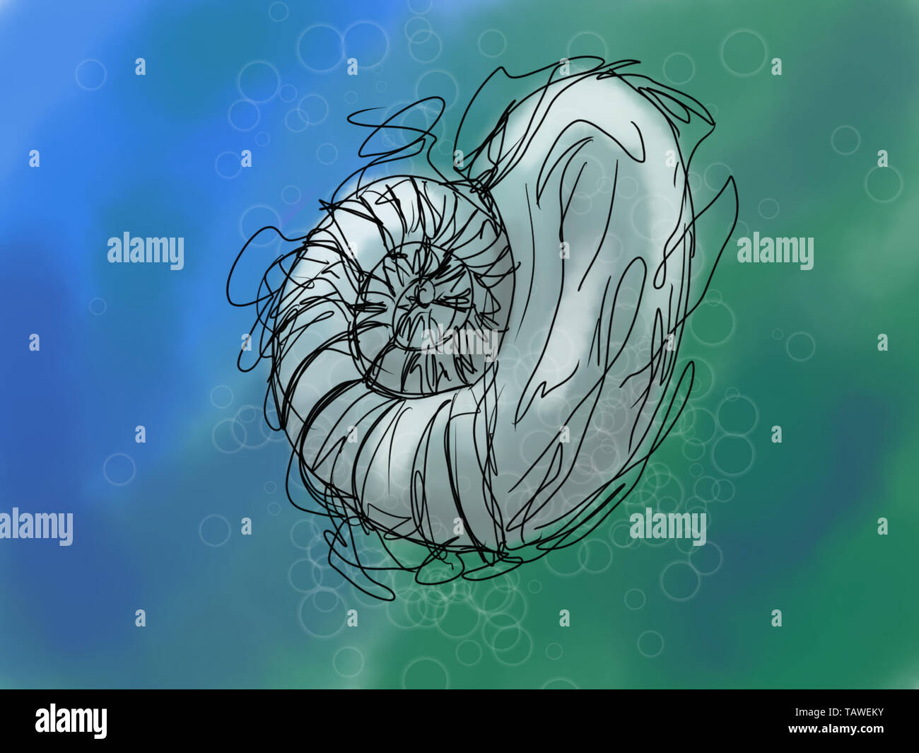 Seashell and bubbles hi-res stock photography and images - Alamy