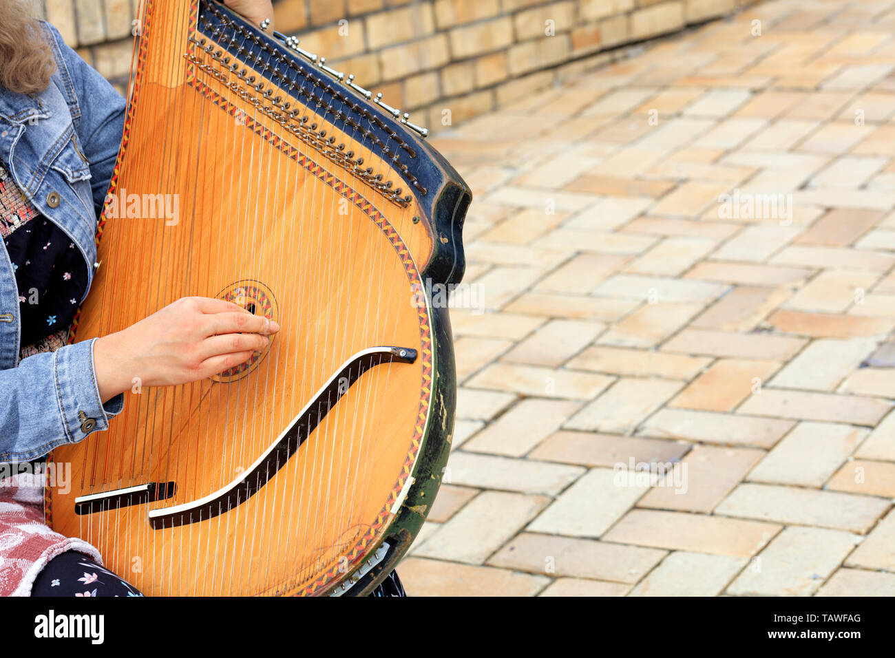 The musician plays the old Ukrainian ethnic musical instrument bandura ...