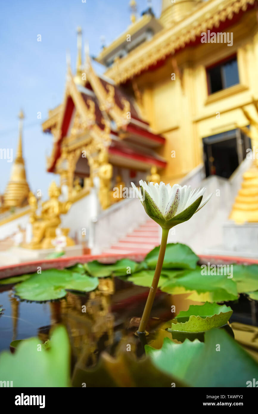 Buddhist lotus temple hi-res stock photography and images - Alamy
