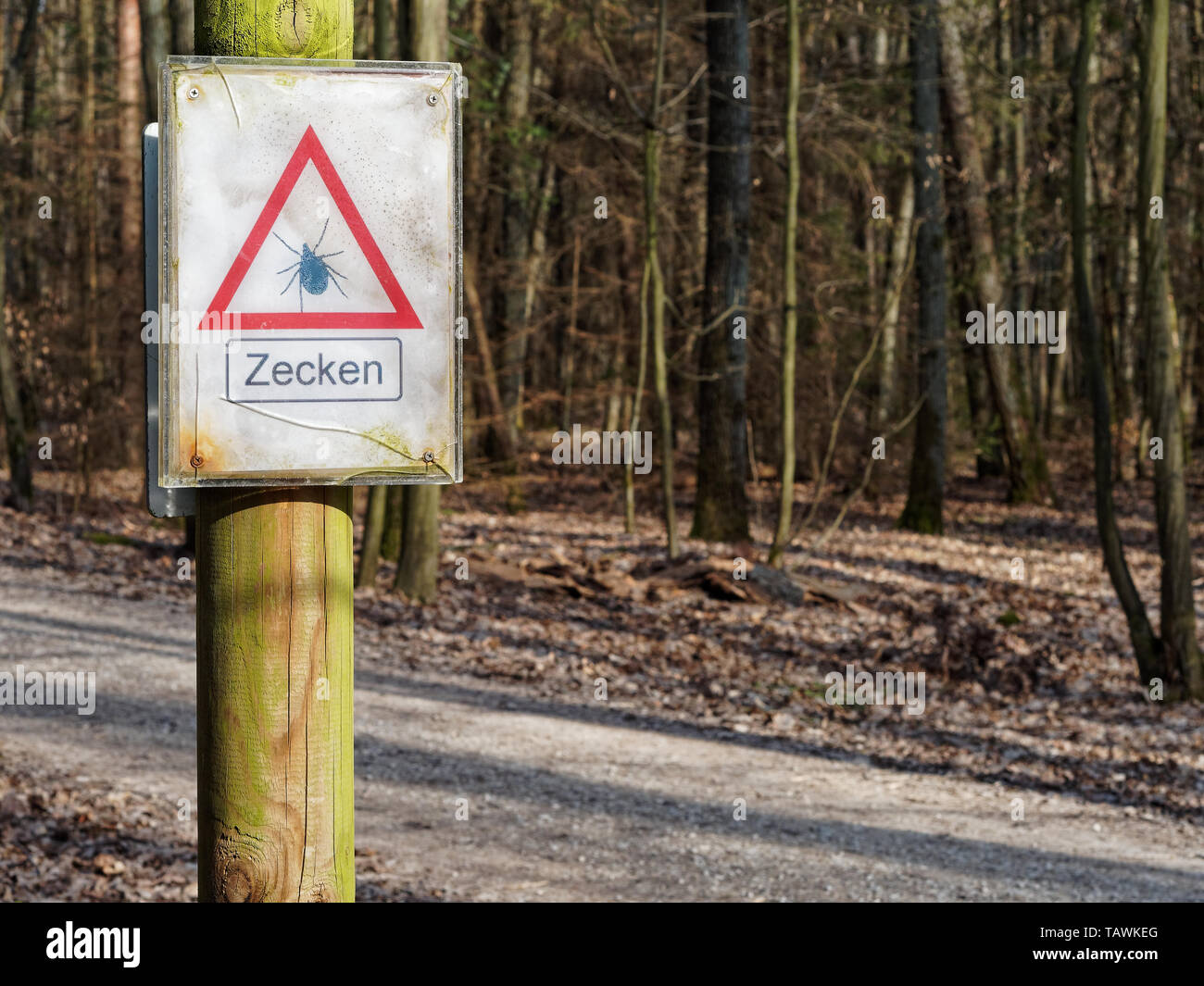 Warning sign in a forest hi-res stock photography and images - Alamy