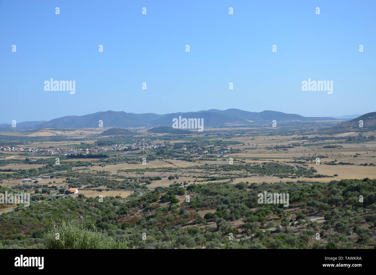Exotic shoreline detail hi-res stock photography and images - Alamy