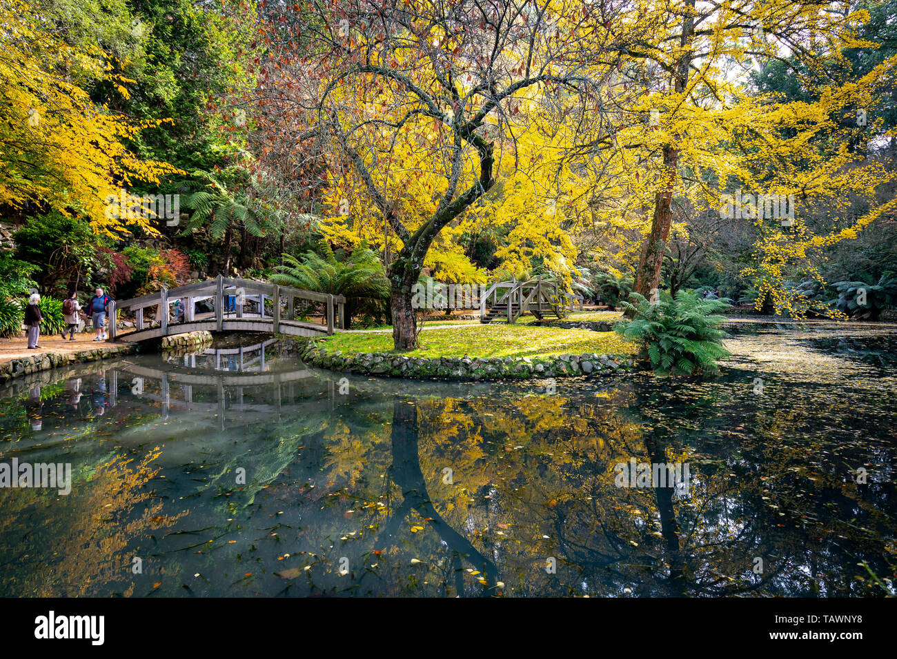 Autumn colours in Alfred Nicholas gardens Stock Photo - Alamy