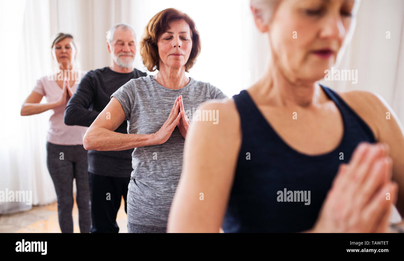 Group of senior people doing yoga exercise in community center club ...
