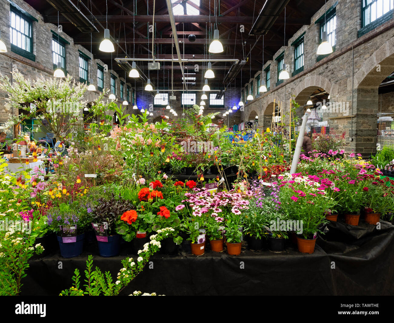 Victorian market stalls hi-res stock photography and images - Alamy