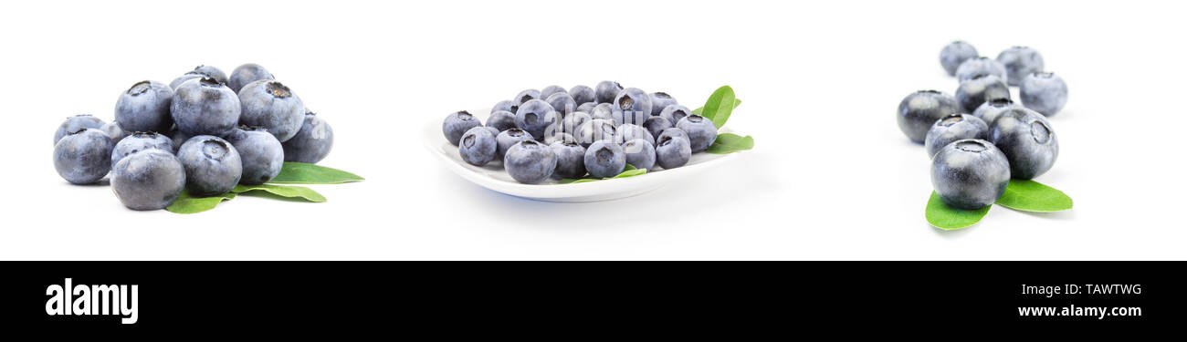 Collage of blueberry on a white background cutout Stock Photo - Alamy
