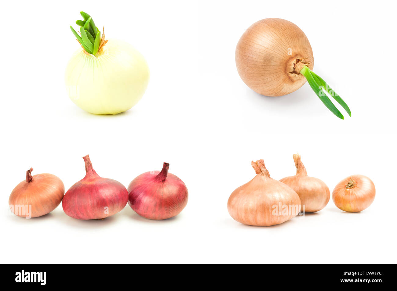 Set of Bulb of onion isolated on a white background with clipping path ...