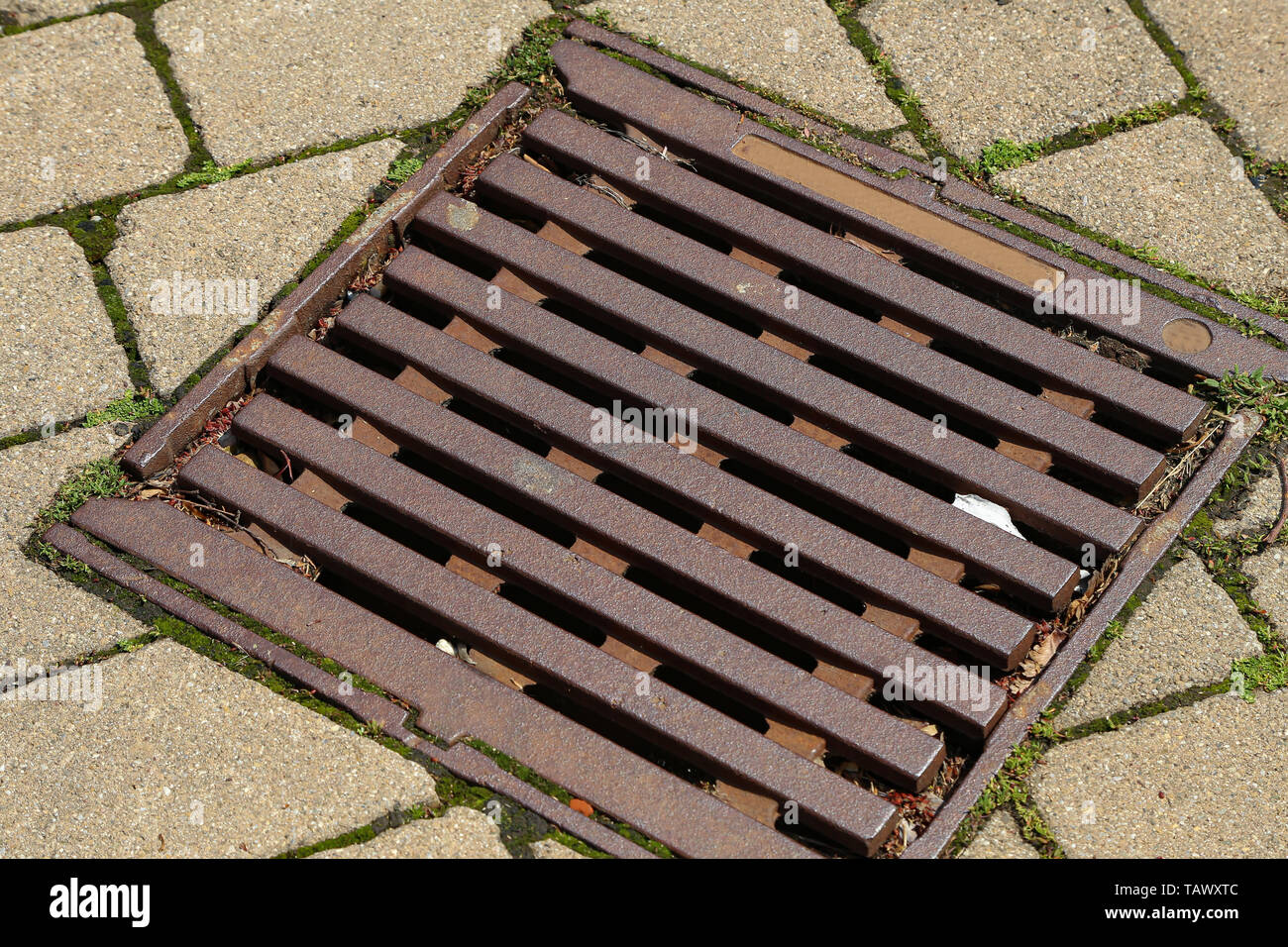 Sewer grid. Iron grid for water flow in sewers Stock Photo - Alamy