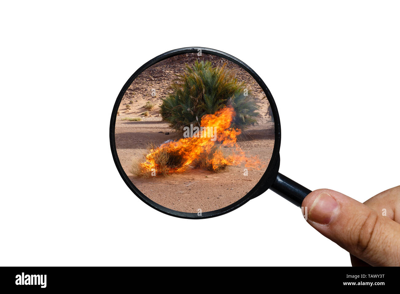 dry burning grass in the Sahara desert, view through a magnifying glass ...