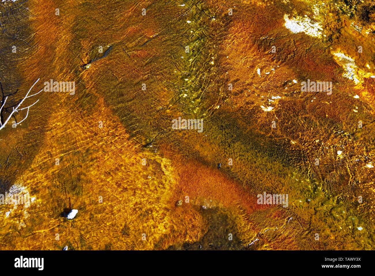 Volcanic stream bottom Stock Photo - Alamy Volcanic stream bottom Stock Photo - Alamy