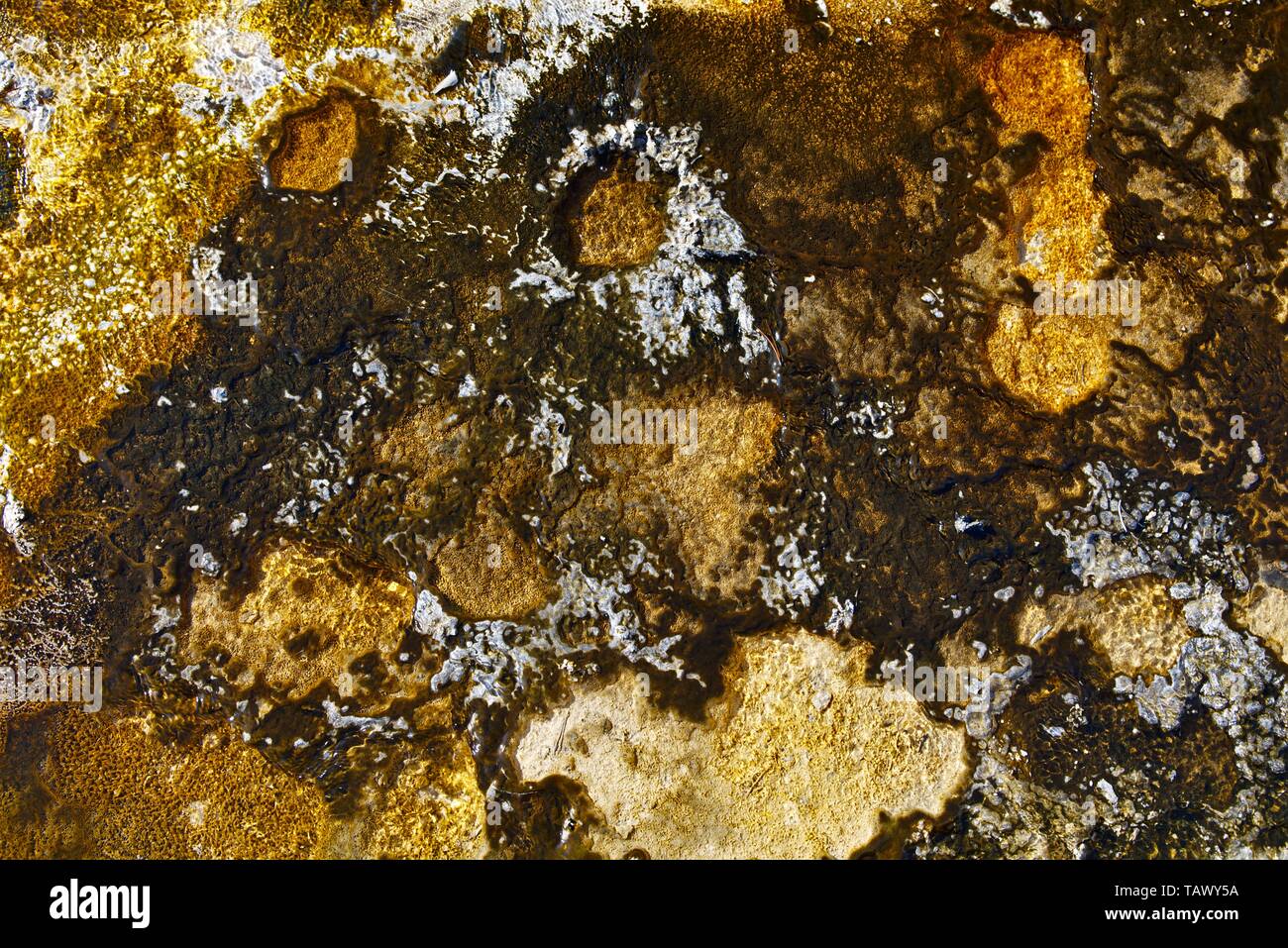 Volcanic stream bottom Stock Photo - Alamy