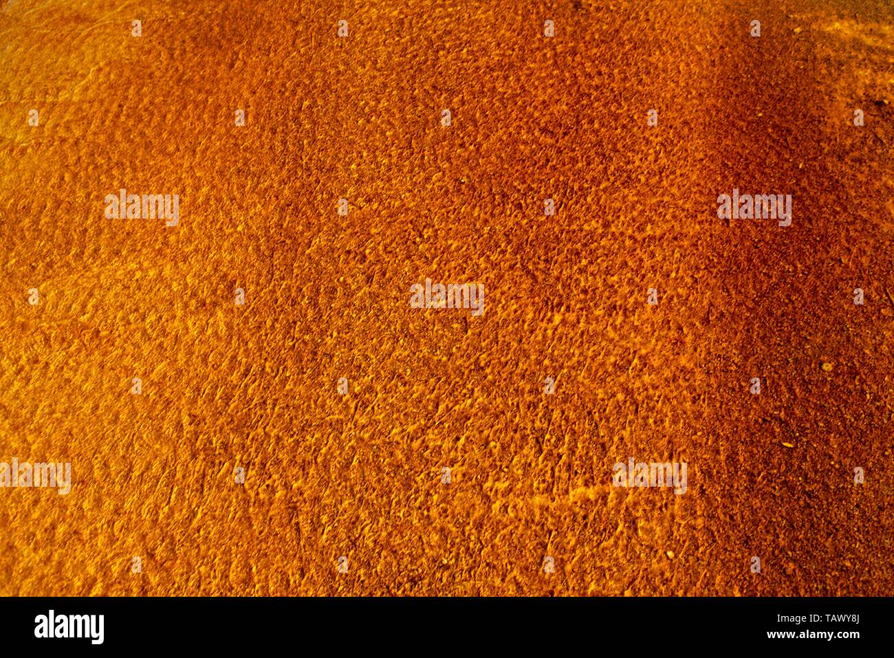 Stream bottom hi-res stock photography and images - Alamy