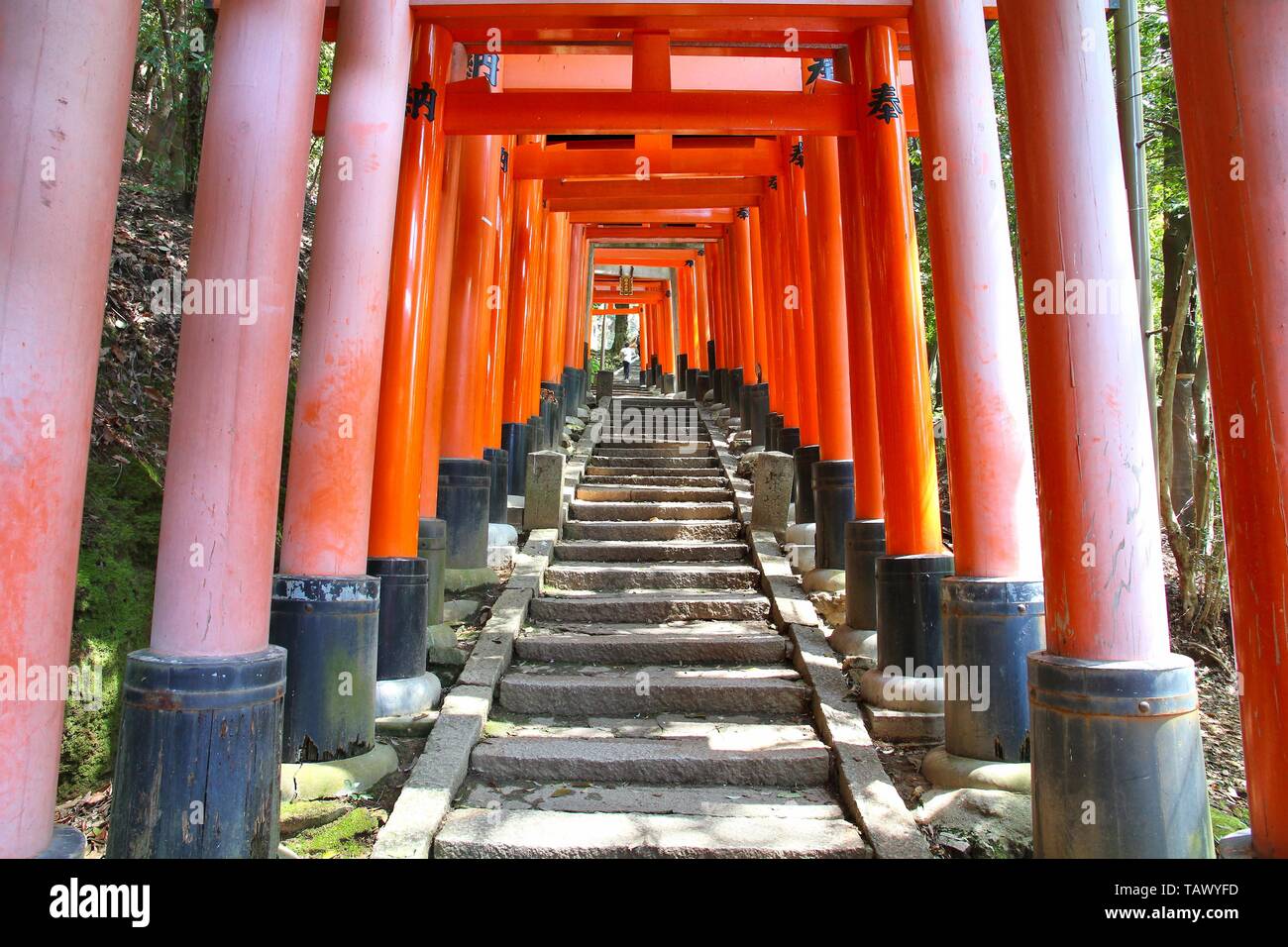 Fushimi Inari Taisha shrine in Kyoto prefecture of Japan. Famous shinto ...