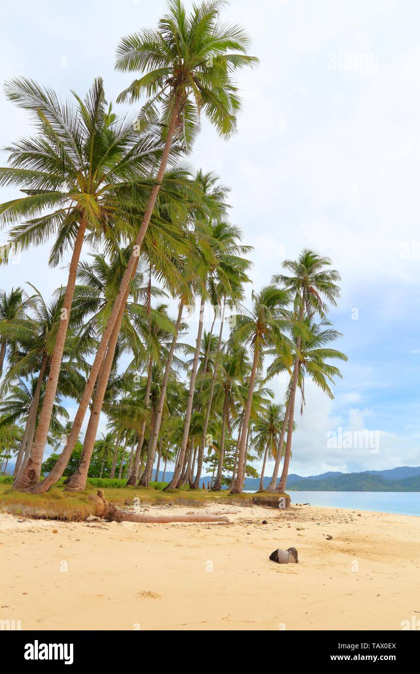 Philippines nature - Palawan island hopping tour view of Pinagbuyutan ...