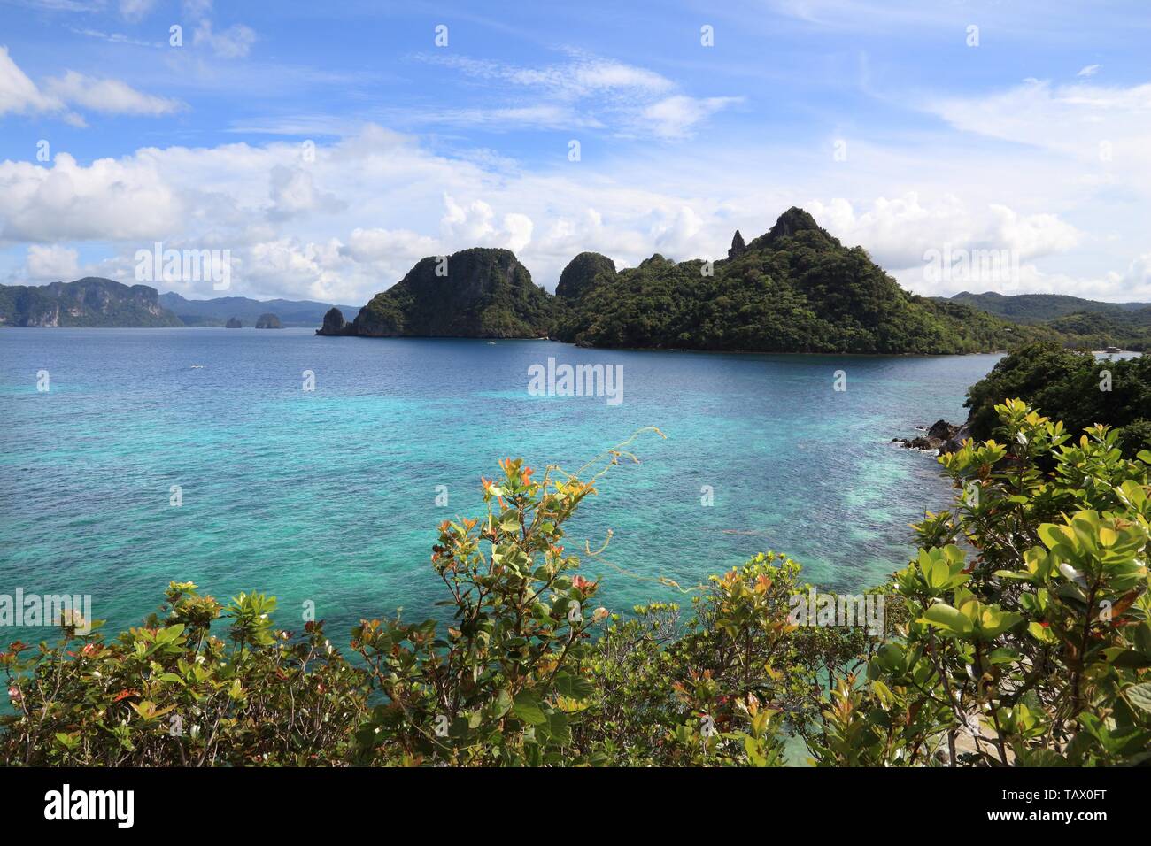 Natural landscape in Palawan island, Philippines. Snake Island Stock ...
